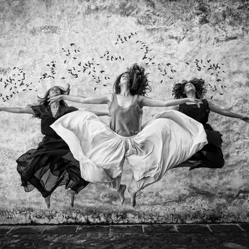 CADJI Avocats : ON / OFF